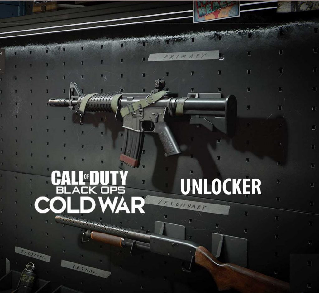 CA - COD: COLD WAR Unlocker | ezMod Store